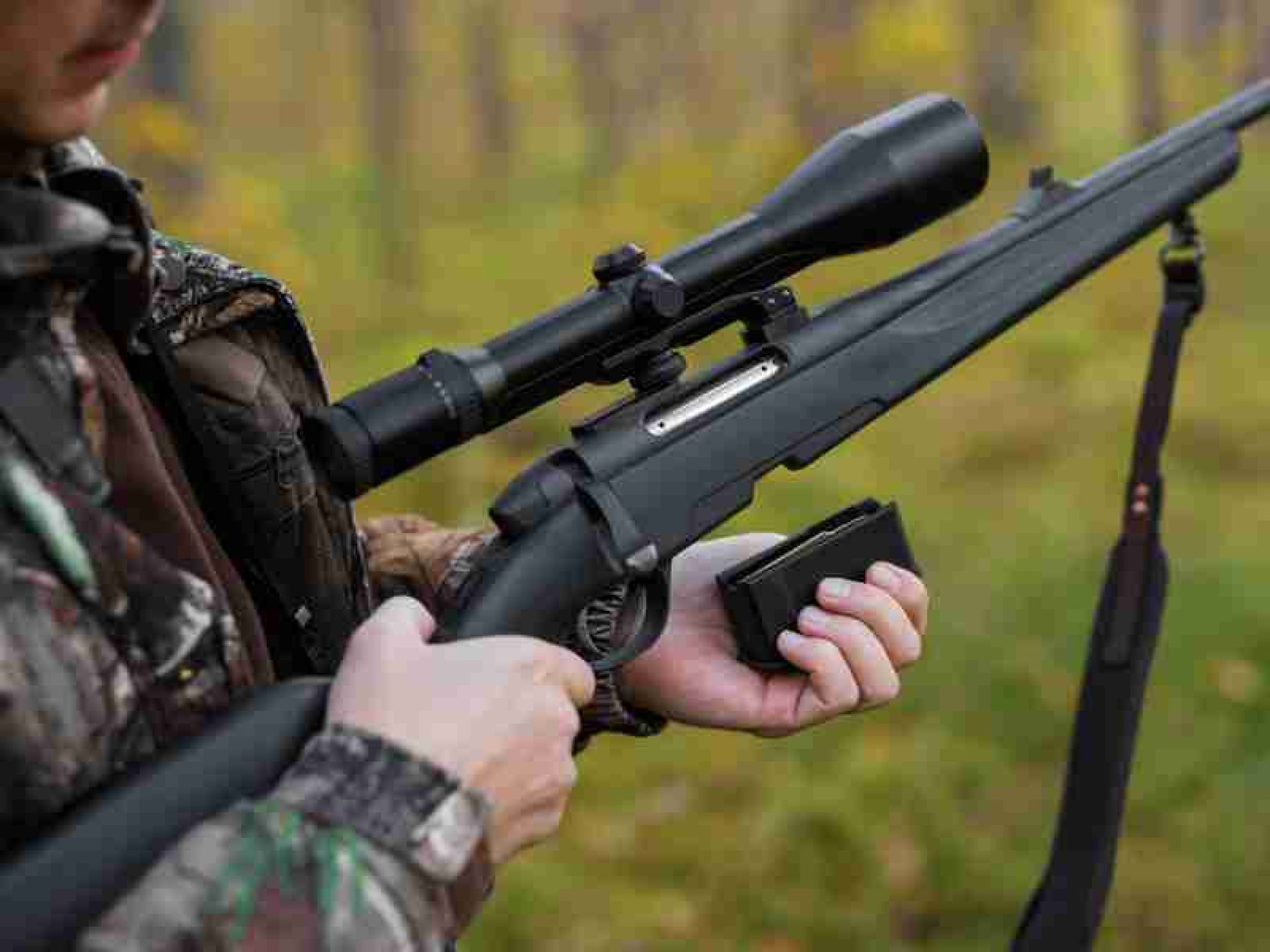 What Types Of Shotgun Pellets Are Allowed For Waterfowl Hunting? - Outdorium